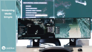 What’s the Best Bitrate for Streaming? | Ceeblue